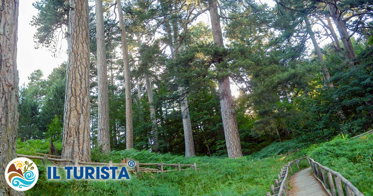 Parco nazionale della Sila - Turista Italia